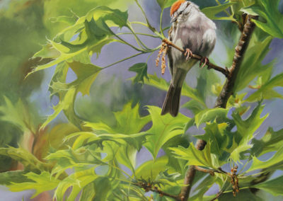 SAA 2020 Members' Exhibition Gallery - The Society of Animal Artists