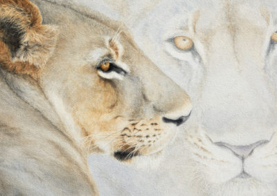 SAA 2020 Members' Exhibition Gallery - The Society of Animal Artists
