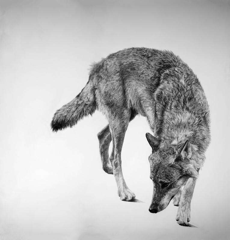 SAA 2020 Members' Exhibition Gallery - The Society of Animal Artists