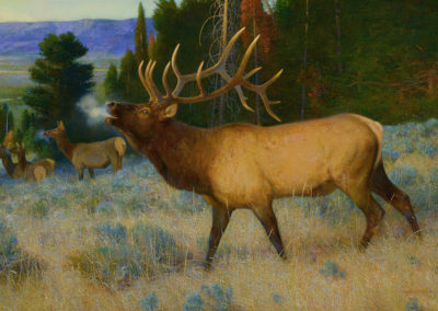 SAA 2020 Members' Exhibition Gallery - The Society of Animal Artists