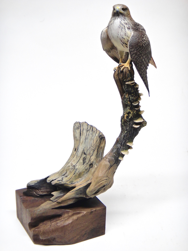 SAA 2020 Members' Exhibition Gallery - The Society of Animal Artists