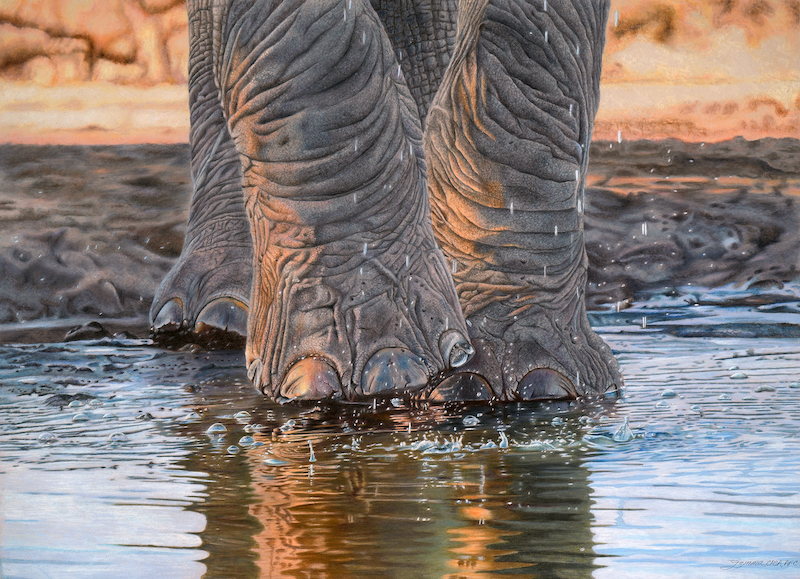SAA 2020 Members' Exhibition Gallery - The Society of Animal Artists