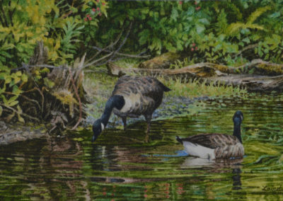 SAA 2020 Members' Exhibition Gallery - The Society of Animal Artists