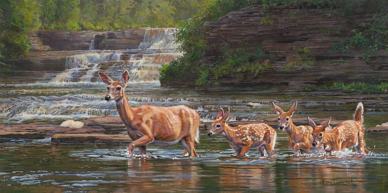 SAA 2020 Members' Exhibition Gallery - The Society of Animal Artists