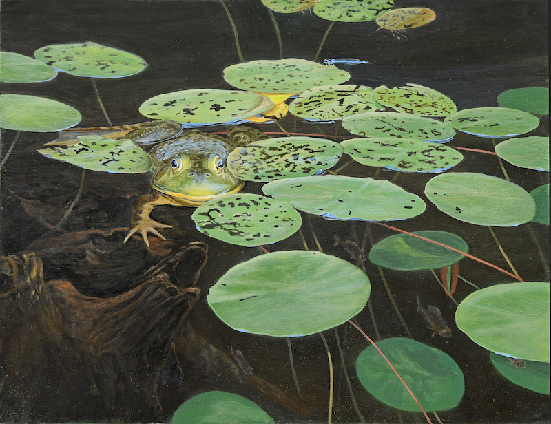 SAA 2020 Members' Exhibition Gallery - The Society of Animal Artists