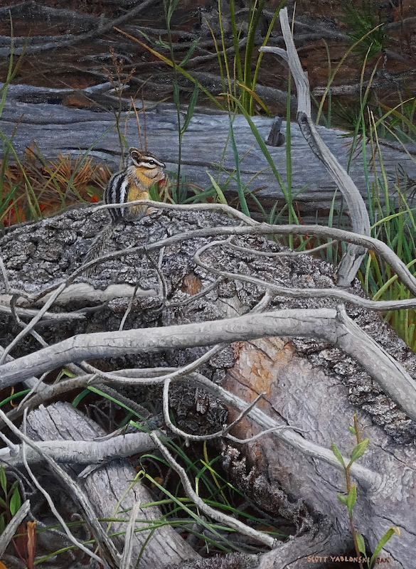 SAA 2020 Members' Exhibition Gallery - The Society of Animal Artists