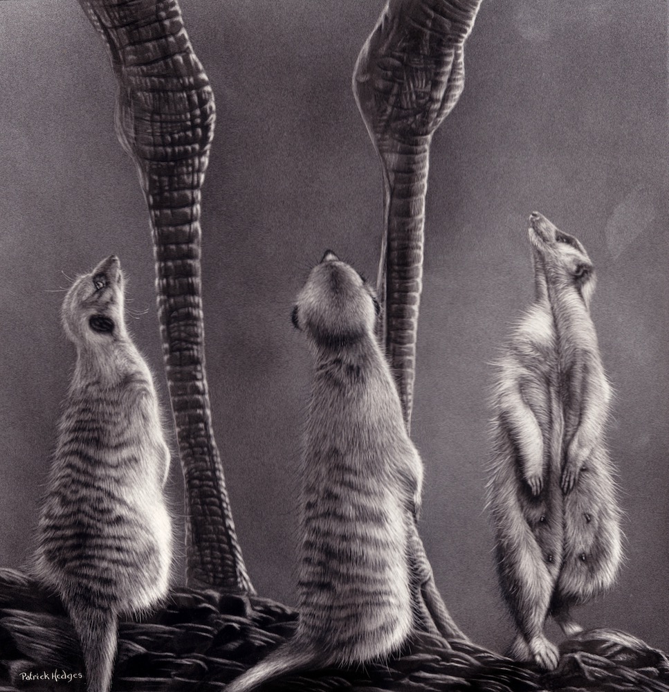 The Society of Animal Artists - An International Organization