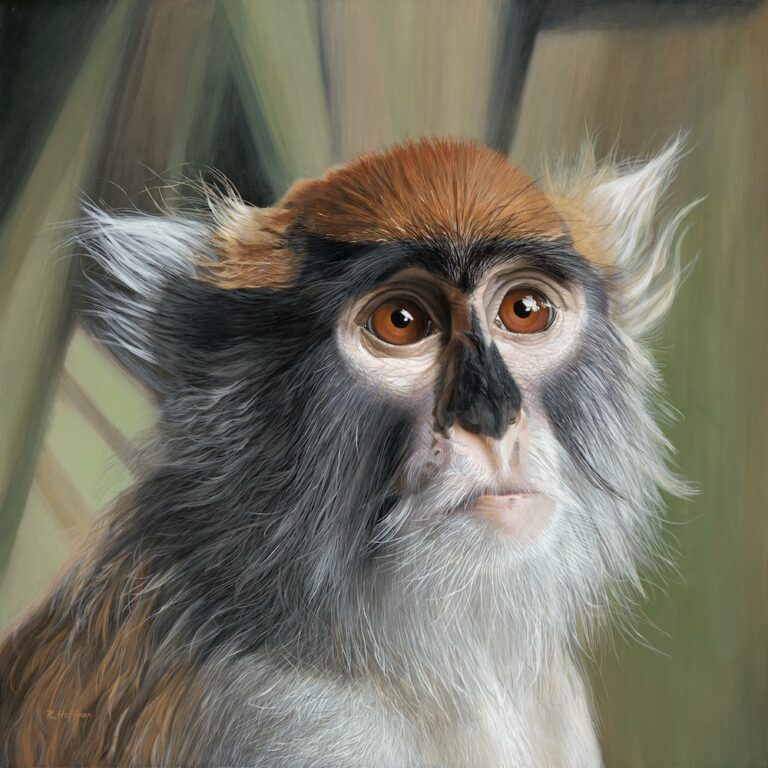 The Society of Animal Artists - An International Organization