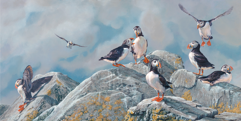 SAA 2023 The Animals of North America Exhibition Gallery - The Society ...