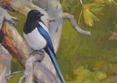 SAA 2024 Wildlife Wonders Exhibition Gallery - The Society of Animal ...