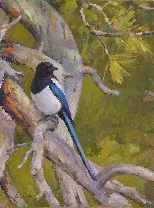 SAA 2024 Wildlife Wonders Exhibition Gallery - The Society of Animal ...