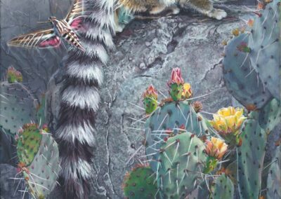 SAA 2024 Wildlife Wonders Exhibition Gallery - The Society of Animal ...