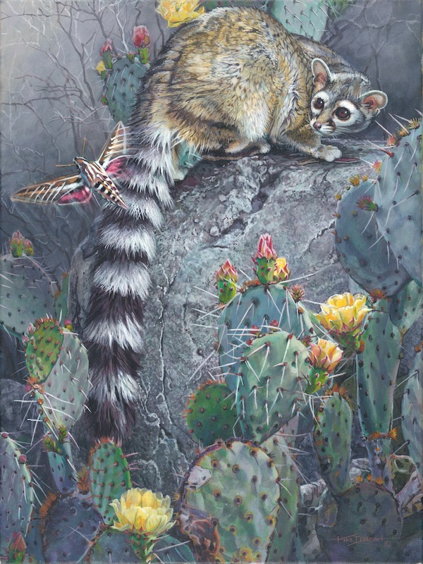 SAA 2024 Wildlife Wonders Exhibition Gallery - The Society of Animal ...