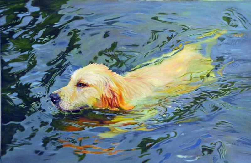 SAA 2024 Wildlife Wonders Exhibition Gallery - The Society of Animal ...