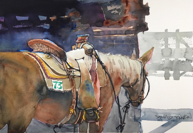 SAA 2024 Wildlife Wonders Exhibition Gallery - The Society of Animal ...