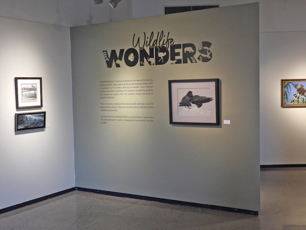 SAA 2024 Wildlife Wonders Exhibition Gallery - The Society of Animal ...