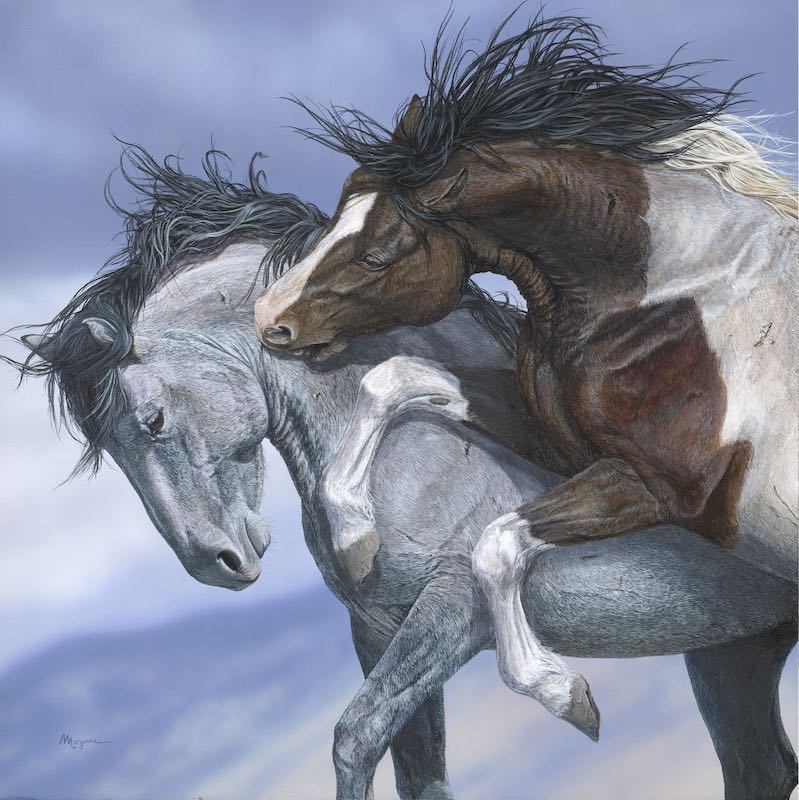 The 64th Annual Exhibition of the Society of Animal Artists