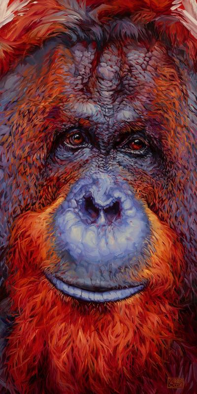 The Society of Animal Artists - An International Organization
