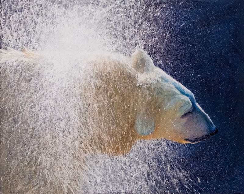 The 64th Annual Exhibition of the Society of Animal Artists