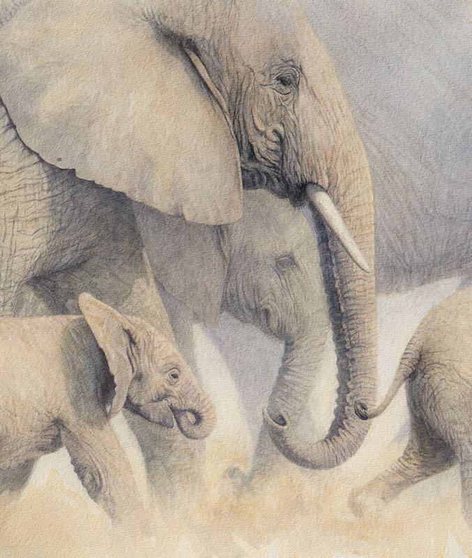 The 64th Annual Exhibition of the Society of Animal Artists