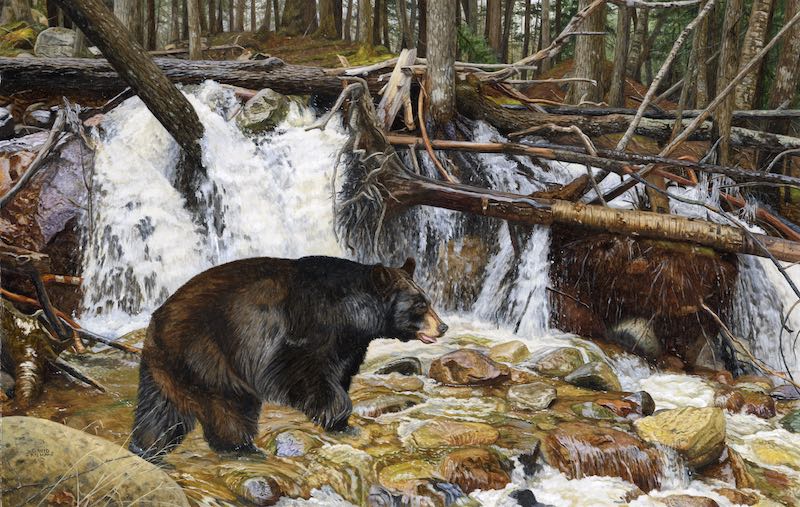 The 64th Annual Exhibition of the Society of Animal Artists