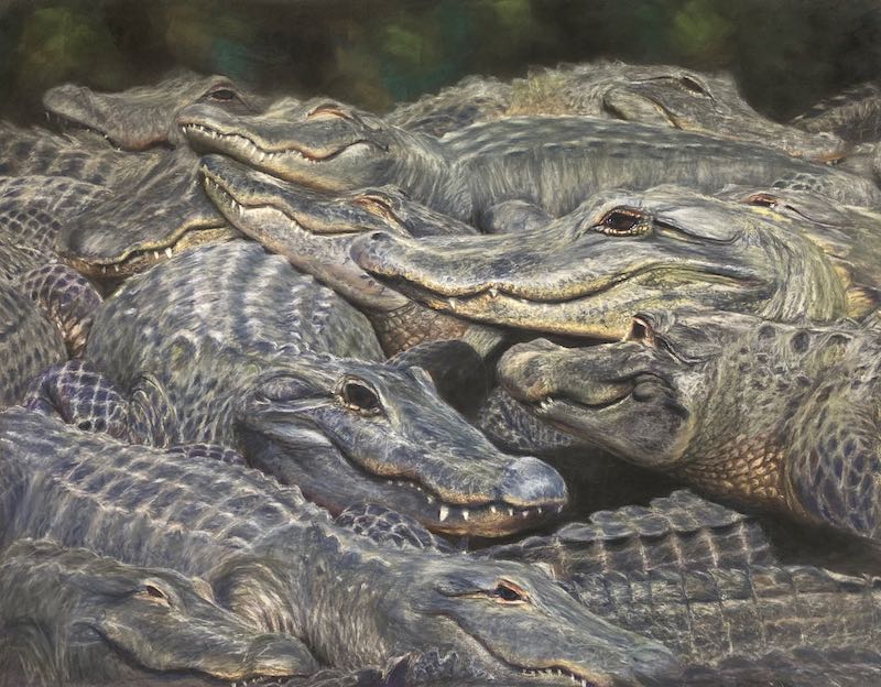 The 64th Annual Exhibition of the Society of Animal Artists