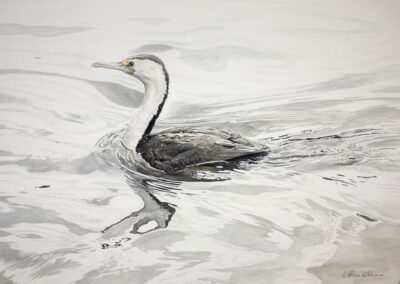 The 64th Annual Exhibition of the Society of Animal Artists