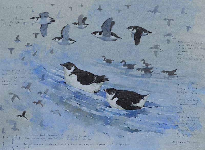 The Society of Animal Artists - An International Organization