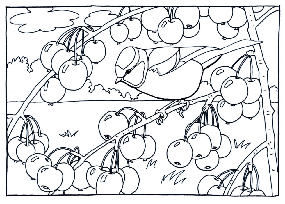 Free Coloring Pages - The Society of Animal Artists