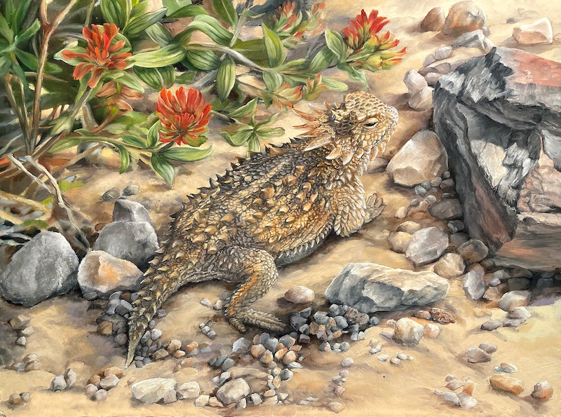 SAA 2025 A Boundless World Exhibition Gallery - The Society of Animal ...