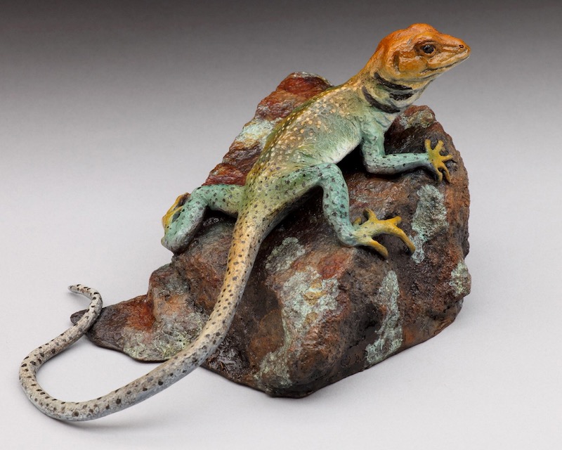 SAA 2025 A Boundless World Exhibition Gallery - The Society of Animal ...
