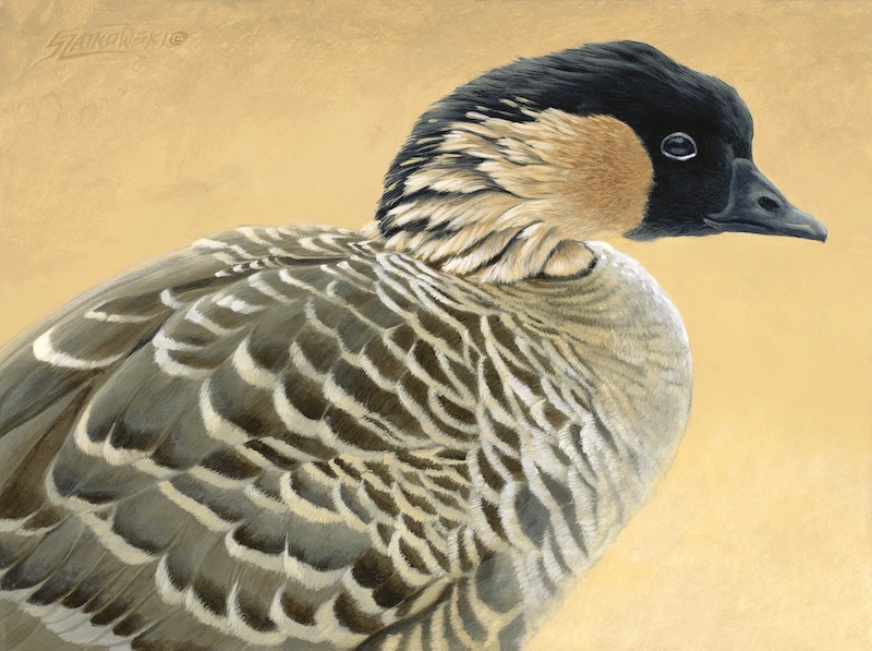 SAA 2025 A Boundless World Exhibition Gallery - The Society of Animal ...