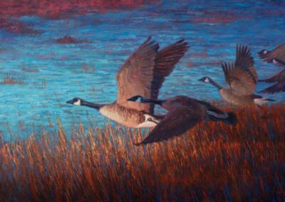 SAA 2025 A Boundless World Exhibition Gallery - The Society of Animal ...