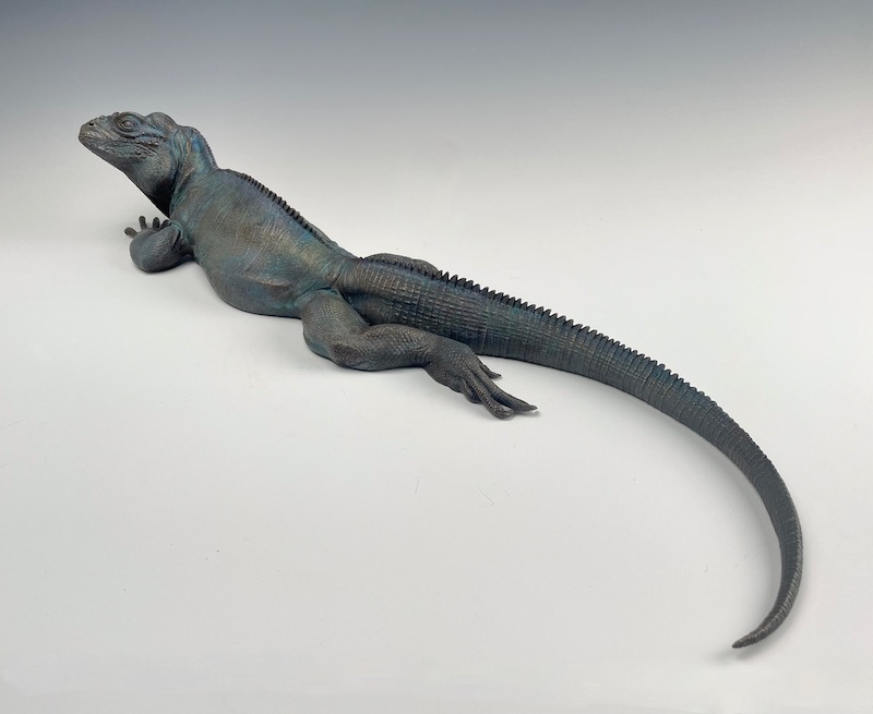 SAA 2025 A Boundless World Exhibition Gallery - The Society of Animal ...