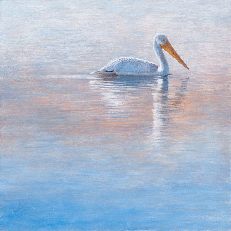 SAA 2025 A Boundless World Exhibition Gallery - The Society of Animal ...