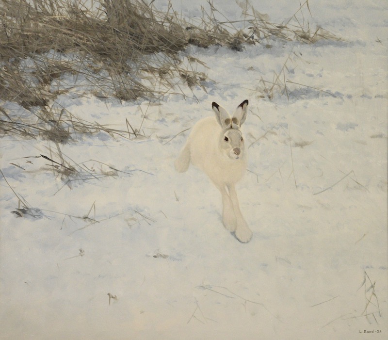 SAA 2025 A Boundless World Exhibition Gallery - The Society of Animal ...