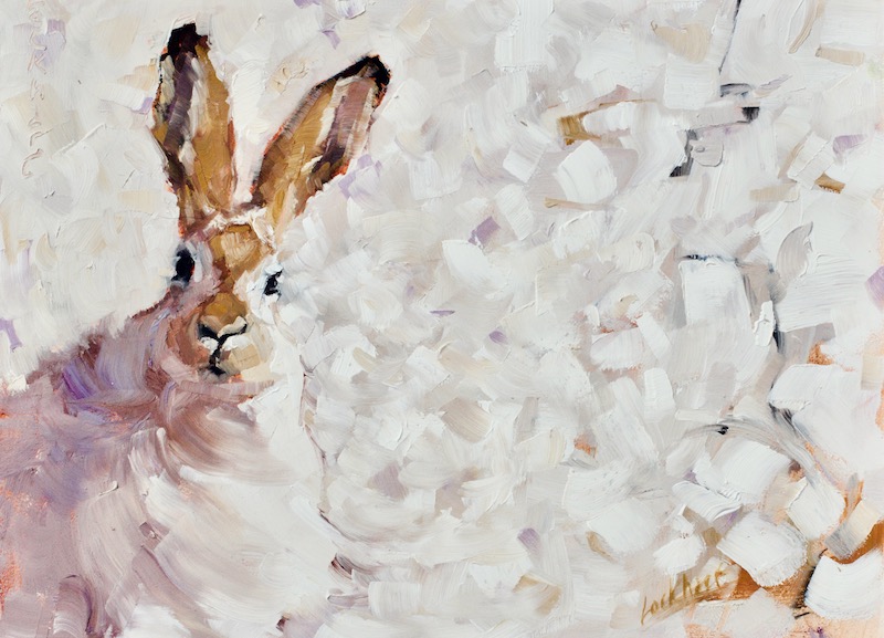 SAA 2025 A Boundless World Exhibition Gallery - The Society of Animal ...