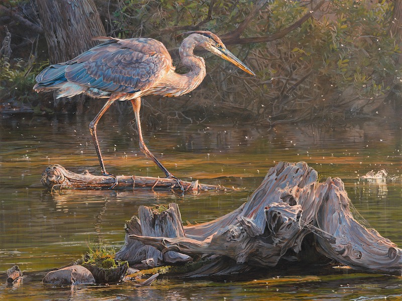 The Society of Animal Artists - An International Organization